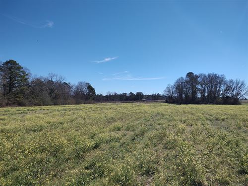 Alabama Ranches for Sale : Page 12 of 37 : RANCHFLIP