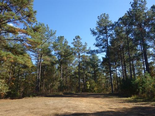 South Carolina Ranches for Sale : RANCHFLIP