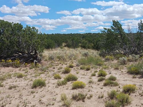 Arizona Ranches for Sale : RANCHFLIP