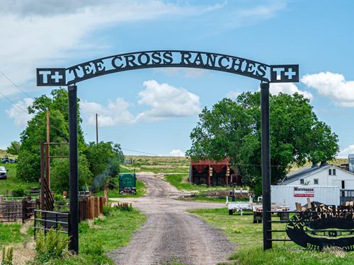 Ranches for Sale Over 10,000 Acres