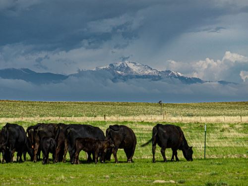 Ranches for Sale Over 10,000 Acres