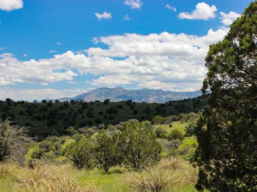 New Mexico Ranches for Sale & Ranchland for Sale