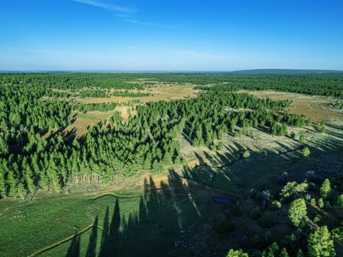 New Mexico Ranches for Sale : Page 3 of 5 : RANCHFLIP