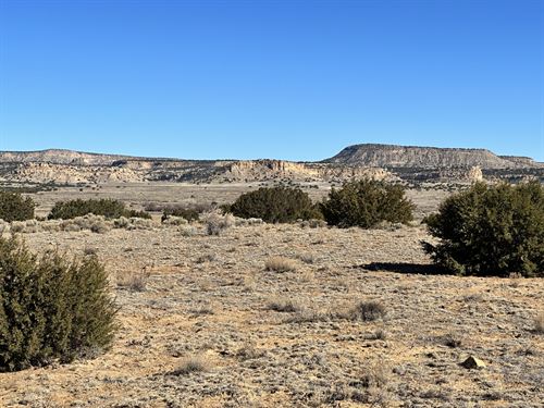 New Mexico Ranches for Sale : RANCHFLIP