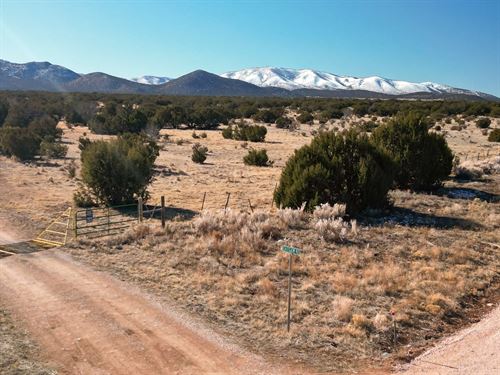 New Mexico Ranches for Sale : Page 4 of 5 : RANCHFLIP