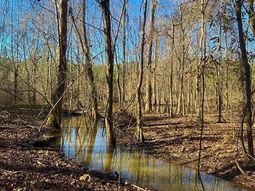 Georgia Ranches for Sale : RANCHFLIP