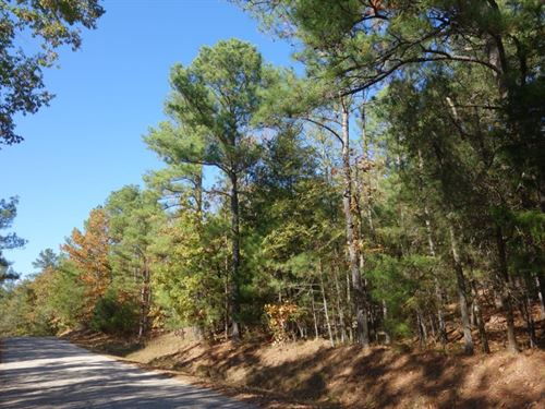 South Carolina Ranches for Sale : RANCHFLIP
