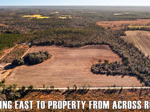 Florida Ranches for Sale : RANCHFLIP