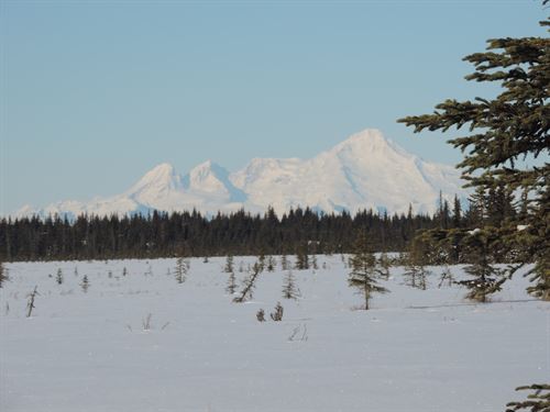 Alaska Ranches for Sale : RANCHFLIP