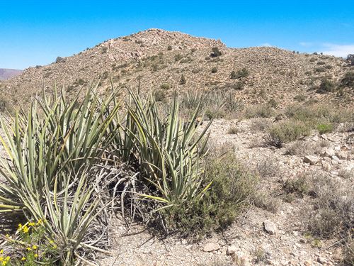 Buy Ranches for Sale, Find Ranchettes & Hunting Ranches