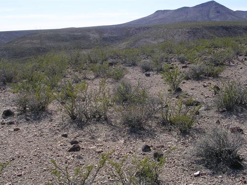 New Mexico Ranches for Sale : Page 4 of 6 : RANCHFLIP