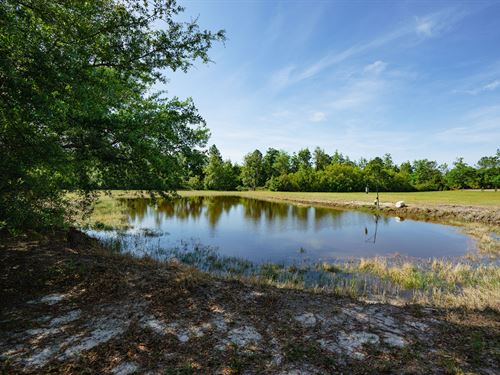 Georgia Ranches for Sale : Page 3 of 52 : RANCHFLIP