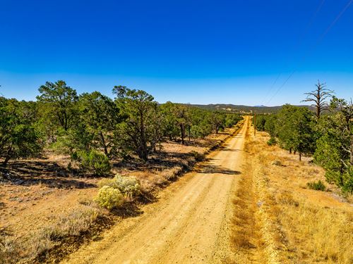 New Mexico Ranches for Sale : RANCHFLIP
