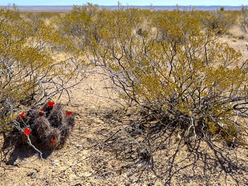 Texas Ranches for Sale by Owner (FSBO) : RANCHFLIP