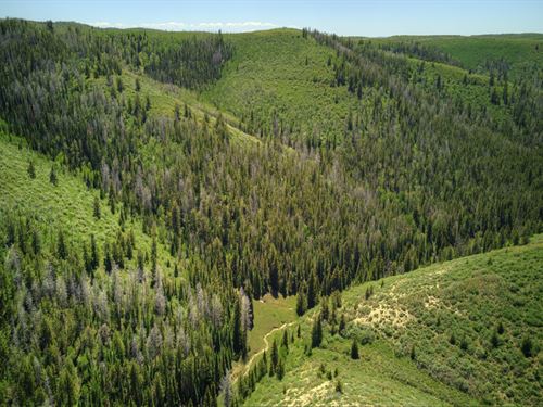 Ranches for Sale Over 5,000 Acres : RANCHFLIP