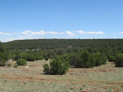 New Mexico Ranches for Sale : Page 4 of 5 : RANCHFLIP