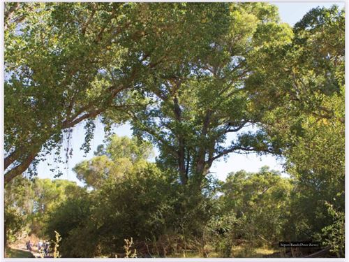 Cattle Ranches for Sale : RANCHFLIP