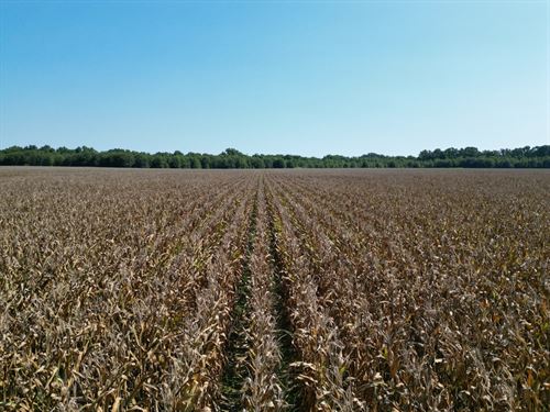 Louisiana Ranches for Sale : RANCHFLIP