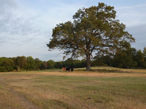Oklahoma Ranches for Sale : RANCHFLIP