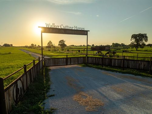Texas Horse Ranches for Sale