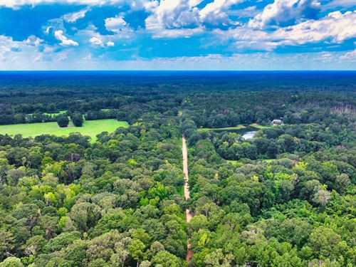 Louisiana Mountain Ranches for Sale by Owner (FSBO) : RANCHFLIP