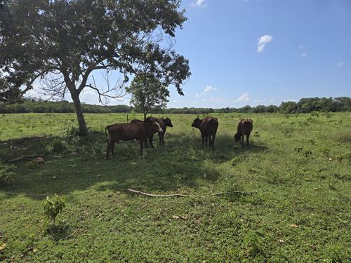 Mexico Horse Ranches for Sale by Owner (FSBO) : RANCHFLIP