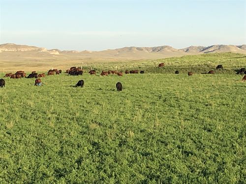 Nebraska Ranches for Sale & Ranchland for Sale