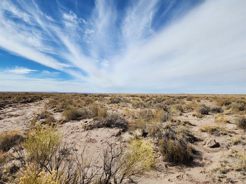 Arizona Ranches for Sale & Ranchland for Sale