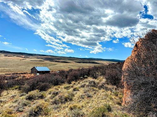 Buffalo Ranches for Sale