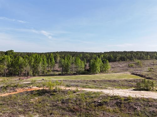 Georgia Ranches for Sale & Ranchland for Sale