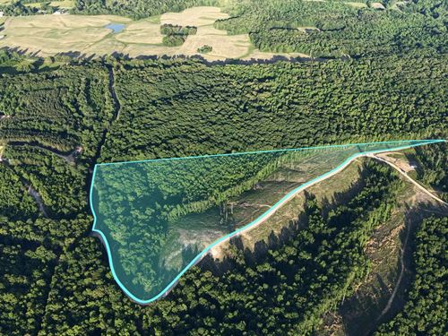 Tennessee Ranches for Sale & Ranchland for Sale