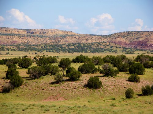 Catron County New Mexico Ranches for Sale : RANCHFLIP